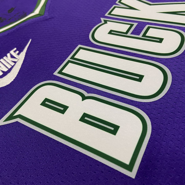 The Bucks ANTETOKOUNMPO #34 purple Retro NBA Jerseys